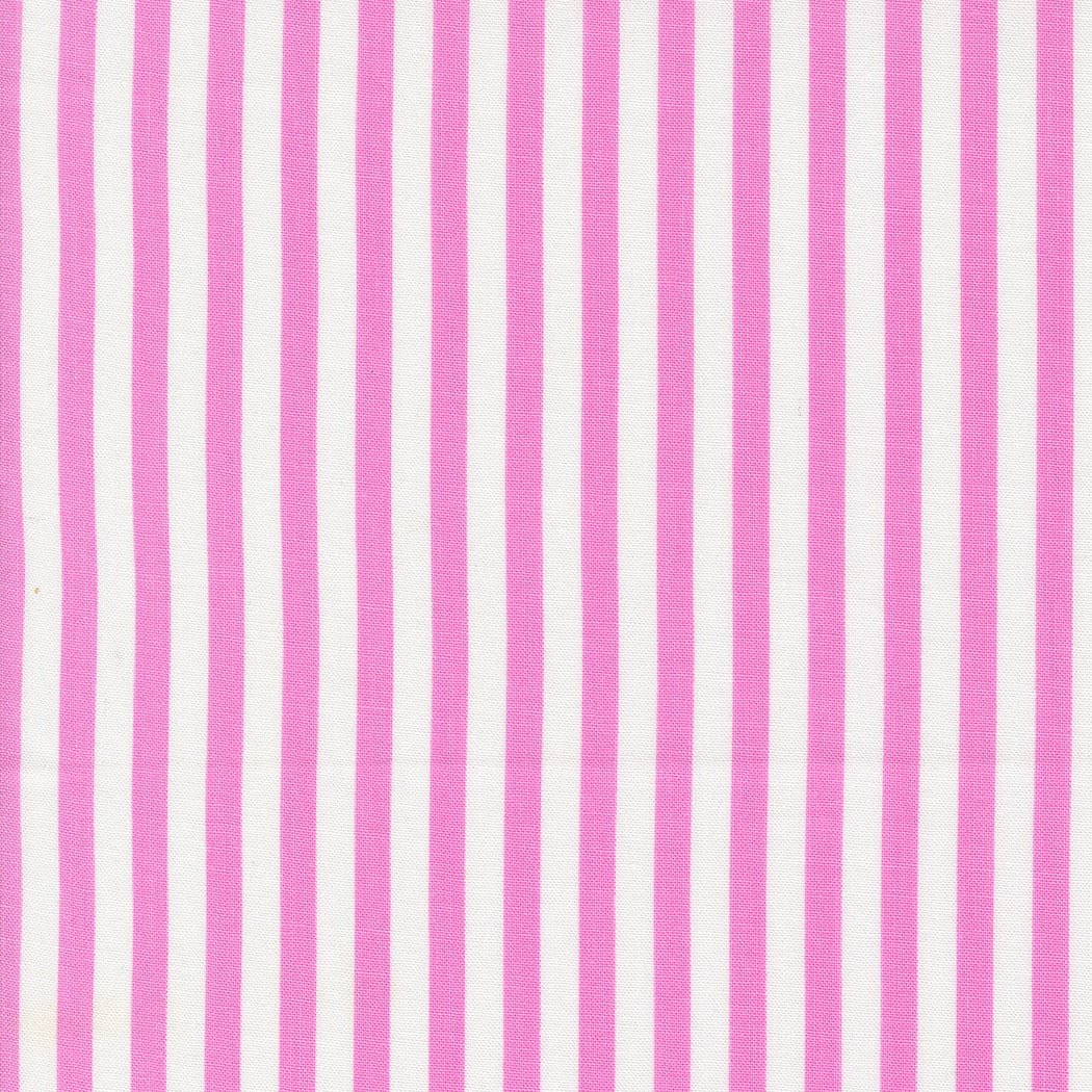 Coriander Colors - Stripe - Purple